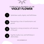 Violet Flower: Symbolism, Meanings, and History - Symbol Genie