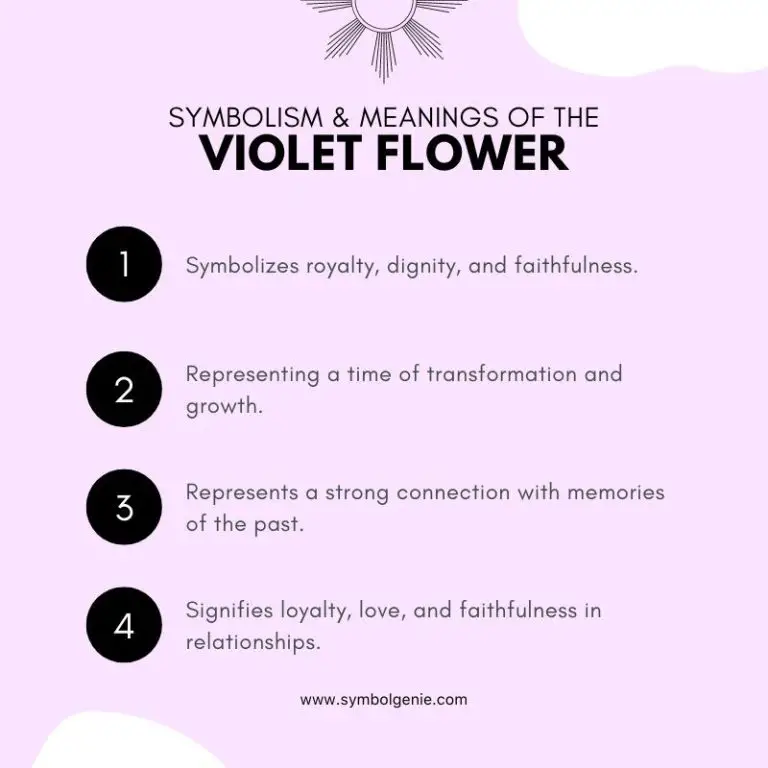 Violet Flower: Symbolism, Meanings, and History - Symbol Genie