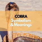 Cobra: Symbolism, Meanings, and History - Symbol Genie