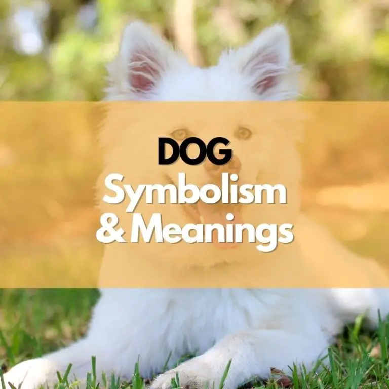Dog: Symbolism, Meanings, and History - Symbol Genie