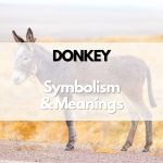 Donkey: Symbolism, Meanings, and History - Symbol Genie