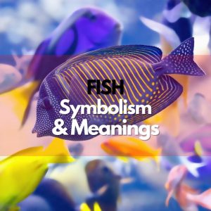 Fish: Symbolism, Meanings, and History - Symbol Genie