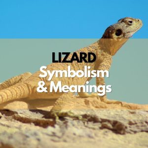 Lizard: Symbolism, Meanings, and History - Symbol Genie
