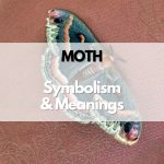 Moth: Symbolism, Meanings, and History - Symbol Genie