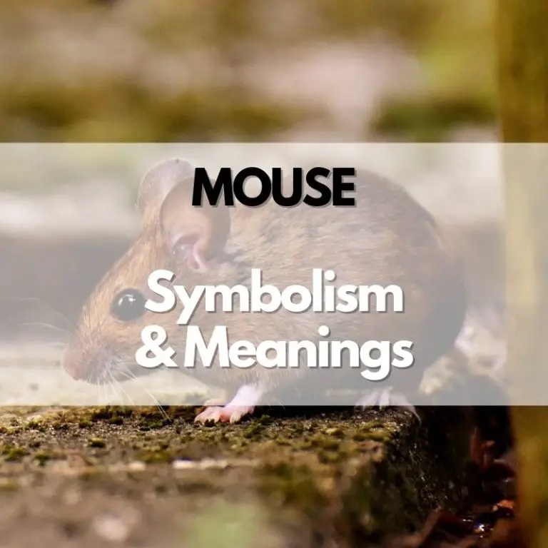 Mouse: Symbolism, Meanings, and History - Symbol Genie