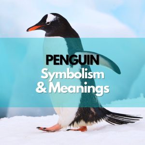 Penguin: Symbolism, Meanings, and History - Symbol Genie