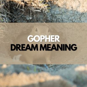 Gopher Dream Meanings & Interpretations - Symbol Genie