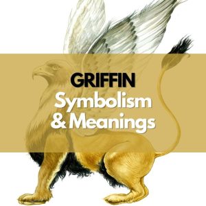 What Does a Griffin Symbolize? - Symbol Genie