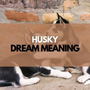 Husky Dream Meaning - Symbol Genie