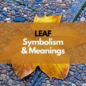What Does a Leaf Symbolize? - Symbol Genie