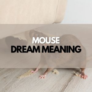 Mouse Dream Meaning - Symbol Genie
