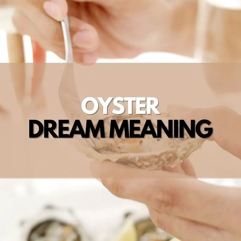 Oyster Dream Meaning - Symbol Genie