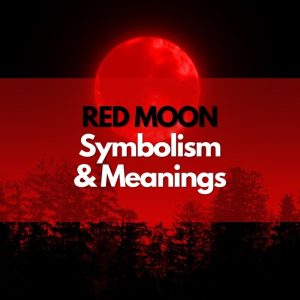 What Does a Red Moon Symbolize? - Symbol Genie