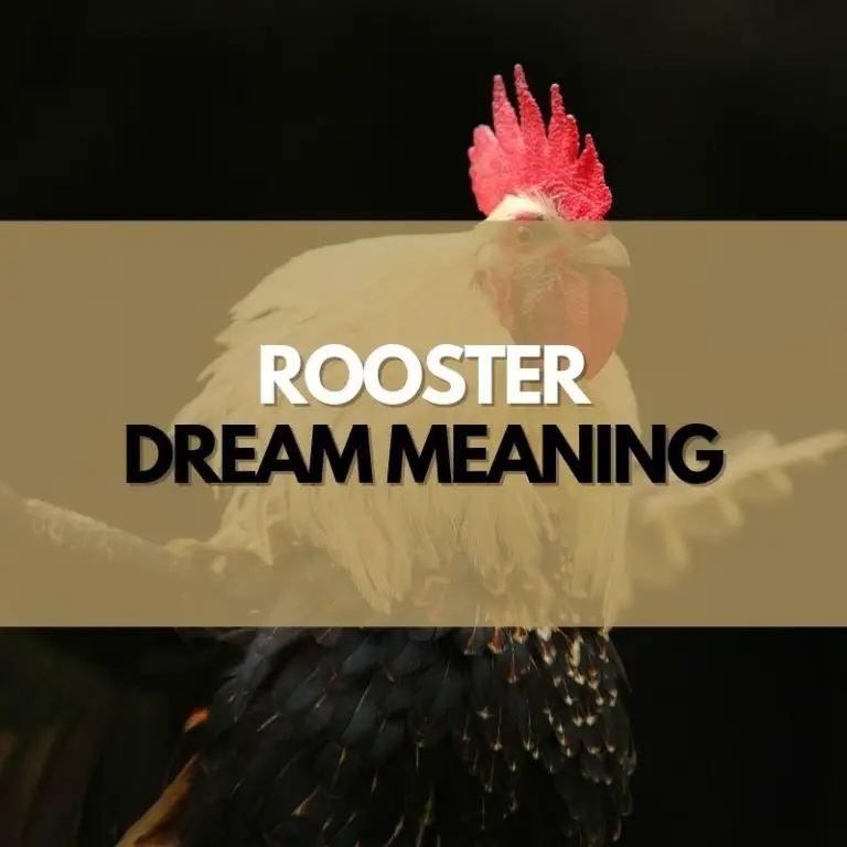 Rooster Dream Meaning - Symbol Genie