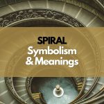 What Does a Spiral Symbolize? - Symbol Genie