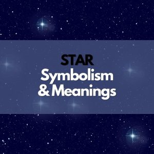 What Does a Star Symbolize? - Symbol Genie