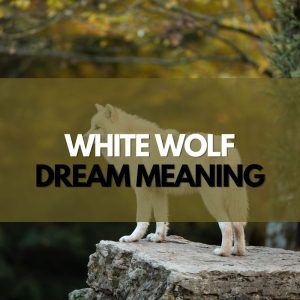White Wolf Dream Meaning - Symbol Genie