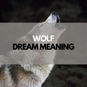Wolf Dream Meaning (10 Significant Meanings) - Symbol Genie