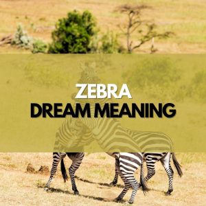 Zebra Dream Meaning & Interpretations - Symbol Genie