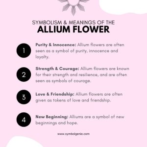Allium Flower: Symbolism, Meanings, and History - Symbol Genie