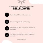 Bellflower: Symbolism, Meanings, and History - Symbol Genie
