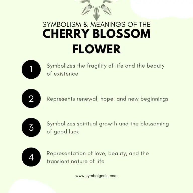 Cherry Blossom Flower: Symbolism, Meanings, and History - Symbol Genie