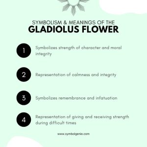 Gladiolus Flower: Symbolism, Meanings, and History - Symbol Genie