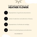 Heather Flower: Symbolism, Meanings, and History - Symbol Genie
