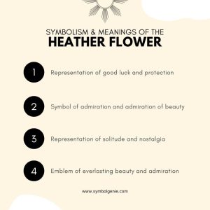 Heather Flower: Symbolism, Meanings, and History - Symbol Genie