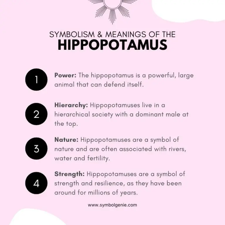 Hippopotamus: Symbolism, Meanings, and History - Symbol Genie