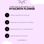 Hyacinth Flower: Symbolism, Meanings, and History - Symbol Genie