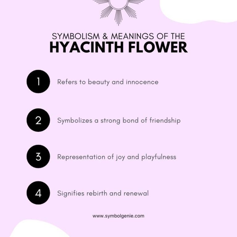 Hyacinth Flower: Symbolism, Meanings, and History - Symbol Genie