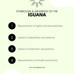 Iguana: Symbolism, Meanings, and History - Symbol Genie