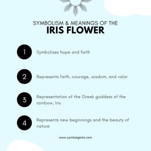 Iris Flower: Symbolism, Meanings, and History - Symbol Genie