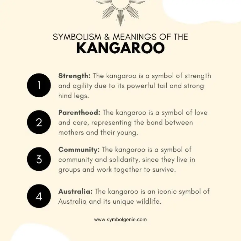 Kangaroo: Symbolism, Meanings, and History - Symbol Genie