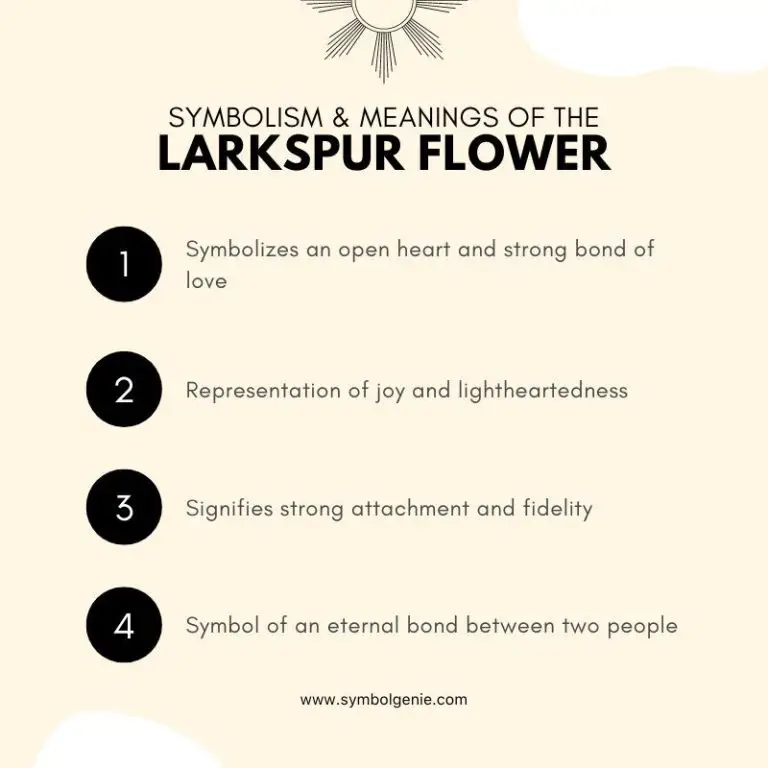 Larkspur Flower: Symbolism, Meanings, and History - Symbol Genie