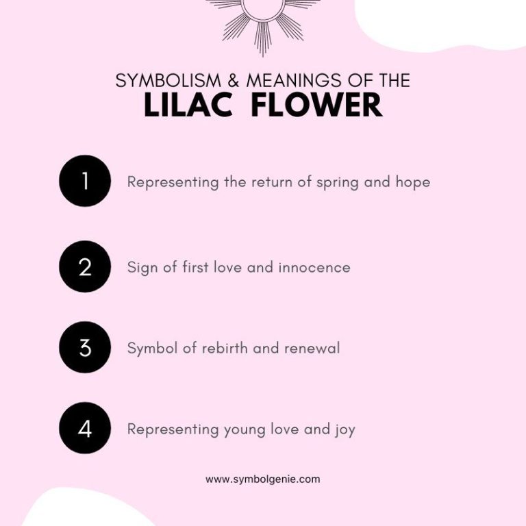 Lilac Flower: Symbolism, Meanings, and History - Symbol Genie