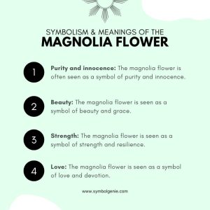 Magnolia Flower: Symbolism, Meanings, and History - Symbol Genie