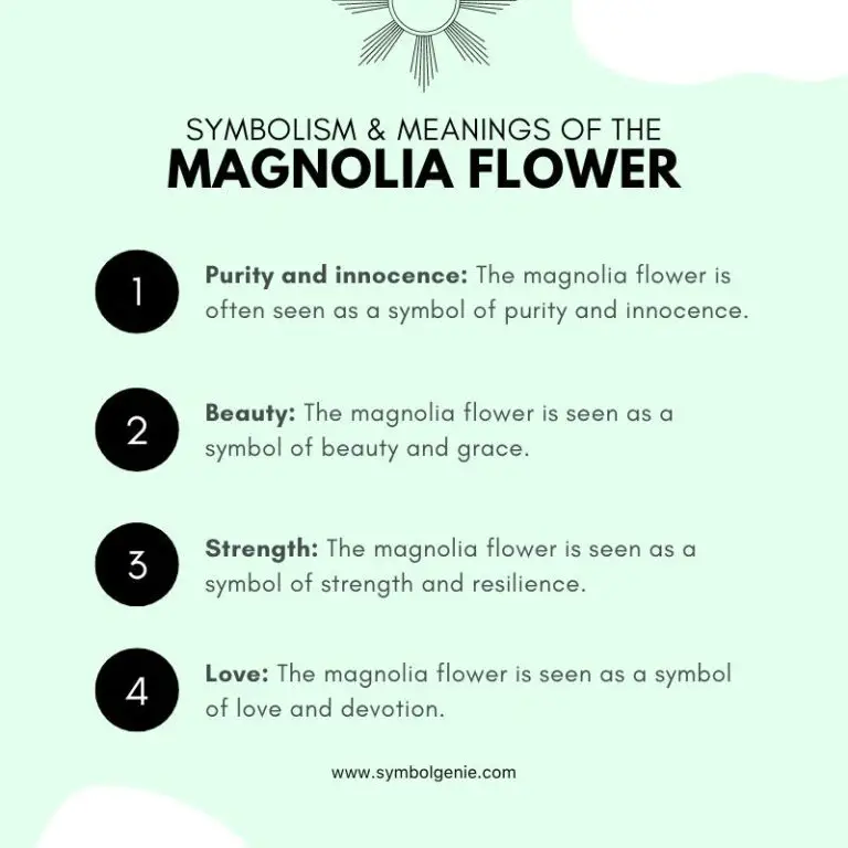 Magnolia Flower: Symbolism, Meanings, and History - Symbol Genie