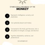 Monkey: Symbolism, Meanings, and History - Symbol Genie