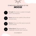 Moose: Symbolism, Meanings, and History - Symbol Genie