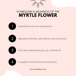 Myrtle Flower: Symbolism, Meanings, and History - Symbol Genie