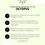 Octopus: Symbolism, Meanings, and History - Symbol Genie