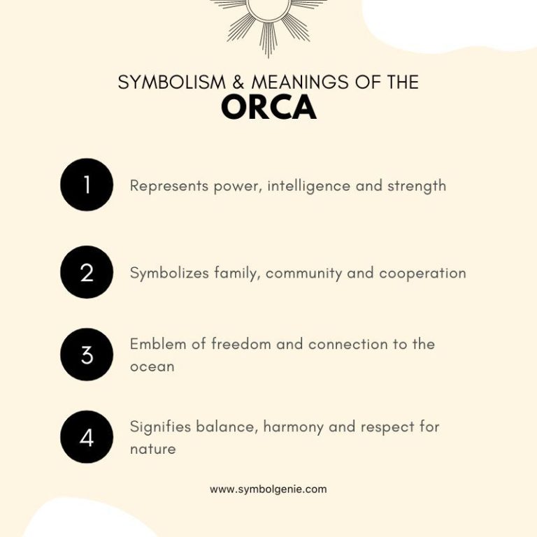 Orca: Symbolism, Meanings, and History - Symbol Genie