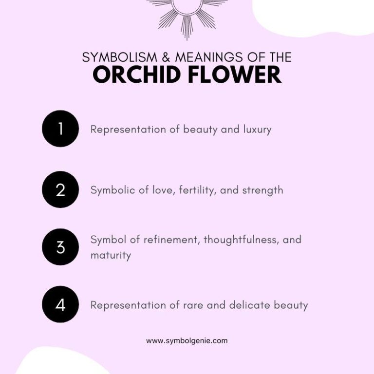 Orchid Flower: Symbolism, Meanings, and History - Symbol Genie