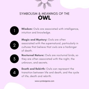 Owl: Symbolism, Meanings, and History - Symbol Genie