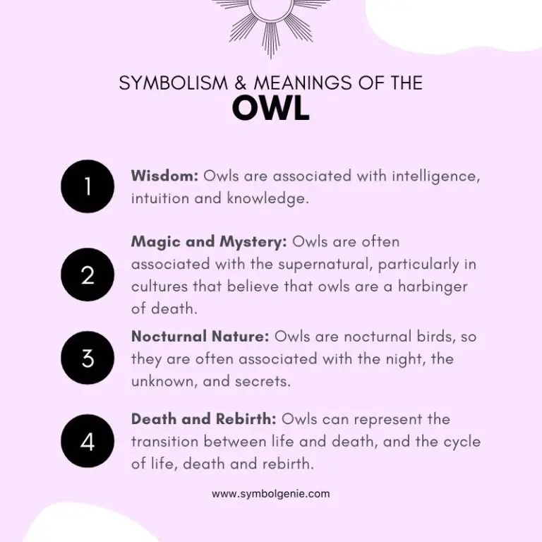 Owl: Symbolism, Meanings, and History - Symbol Genie