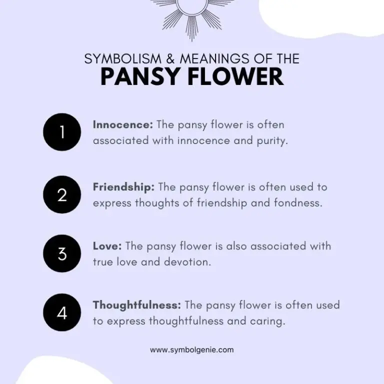 Pansy Flower: Symbolism, Meanings, and History - Symbol Genie