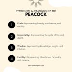Peacock: Symbolism, Meanings, and History - Symbol Genie