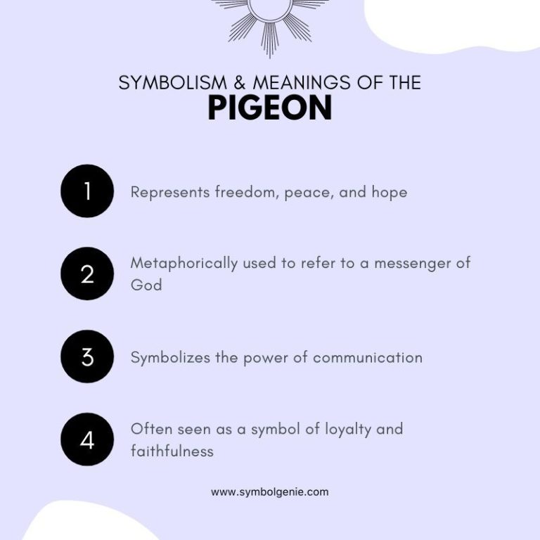 Pigeon: Symbolism, Meanings, and History - Symbol Genie